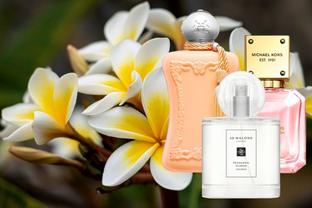 6 Tropical Frangipani Perfumes (My Top Picks) | Viora London
