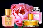 Best Perfumes With Peony (10 Top Picks) | Viora London