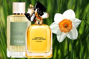 7 Best Narcissus Perfumes, Bright & Complex | Viora London