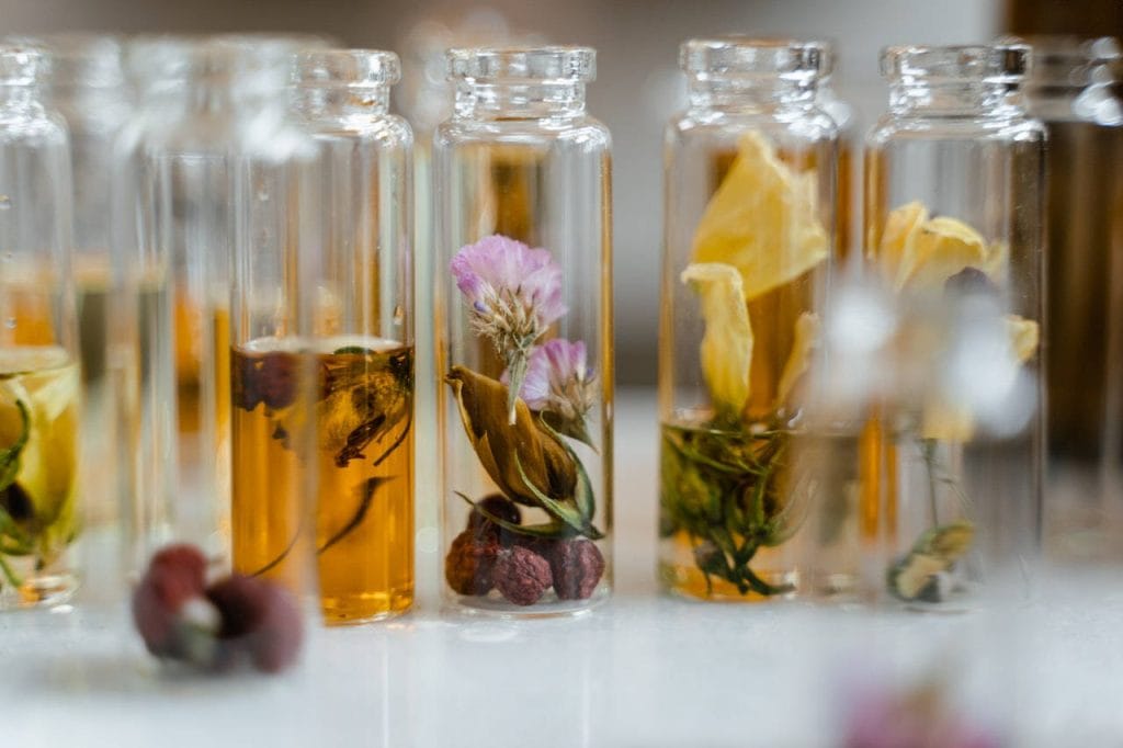 7 Fragrance Families: Understanding Olfactory Groups | Viora London