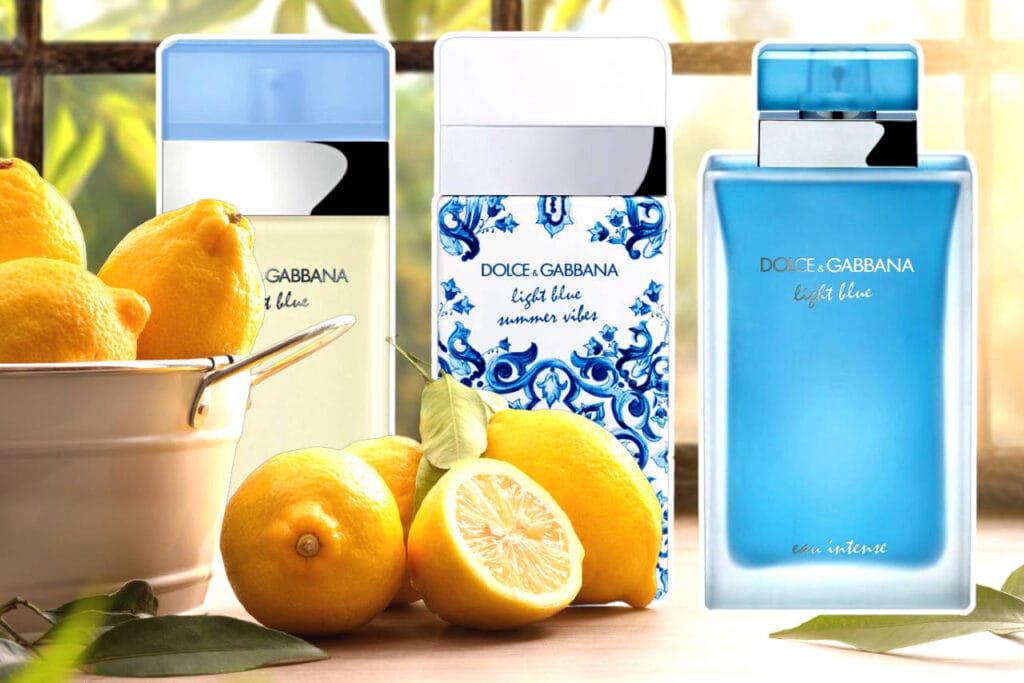 D&G Light Blue For Her: EDT vs Intense vs Summer Vibes | Viora London