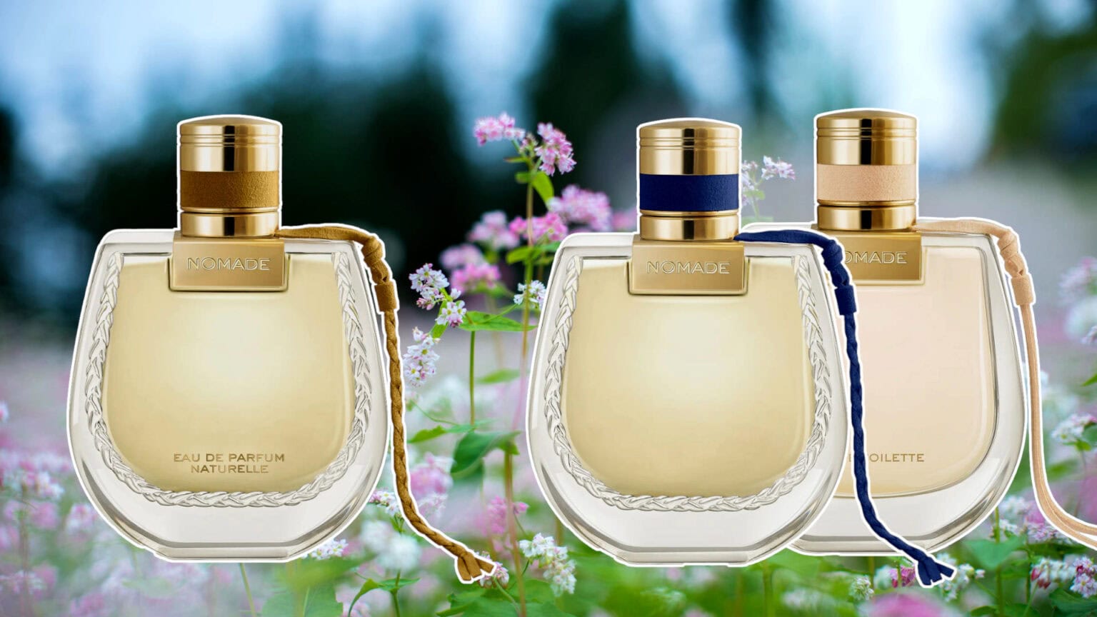 5 Best Chloé Nomade Perfumes: A Collection Review | Viora London