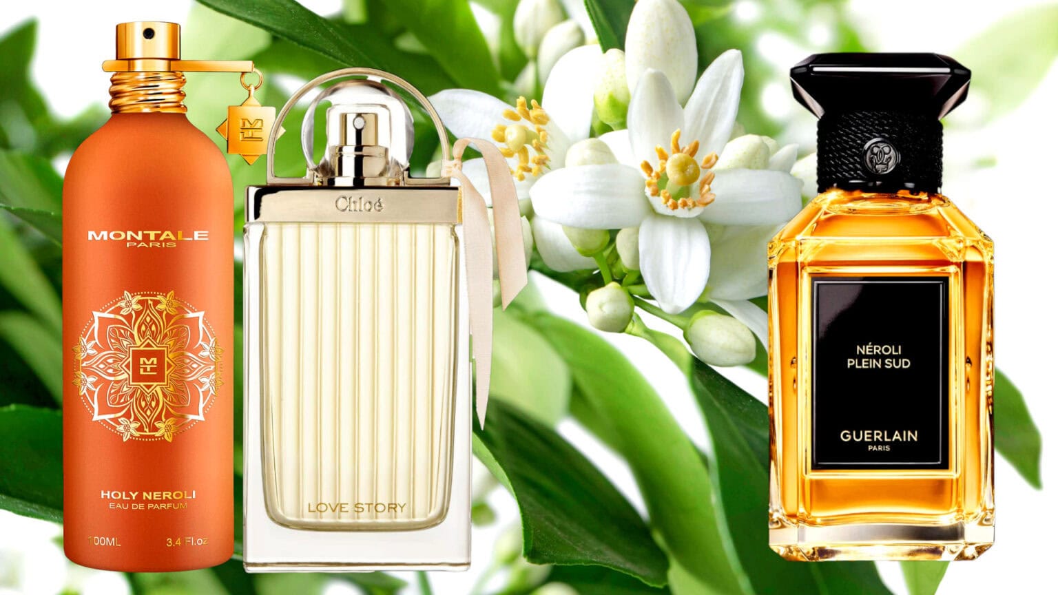 5 Best Chypre Floral Perfumes For Women | Viora London