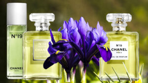 Chanel No 19 Collection Review: Green & Powdery Feminine-Chic | Viora ...