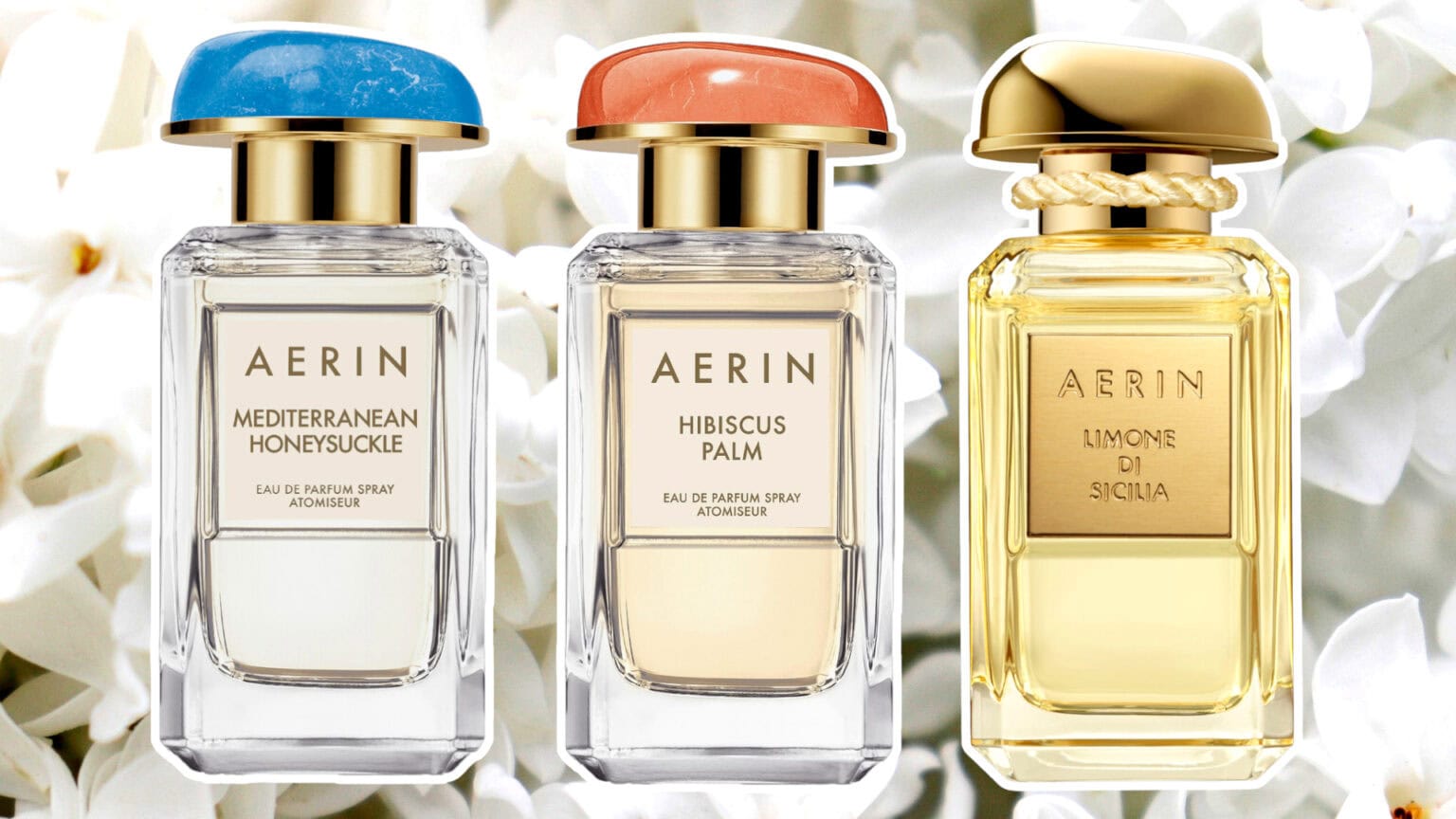 A World History Of Perfume Timeline | Viora London